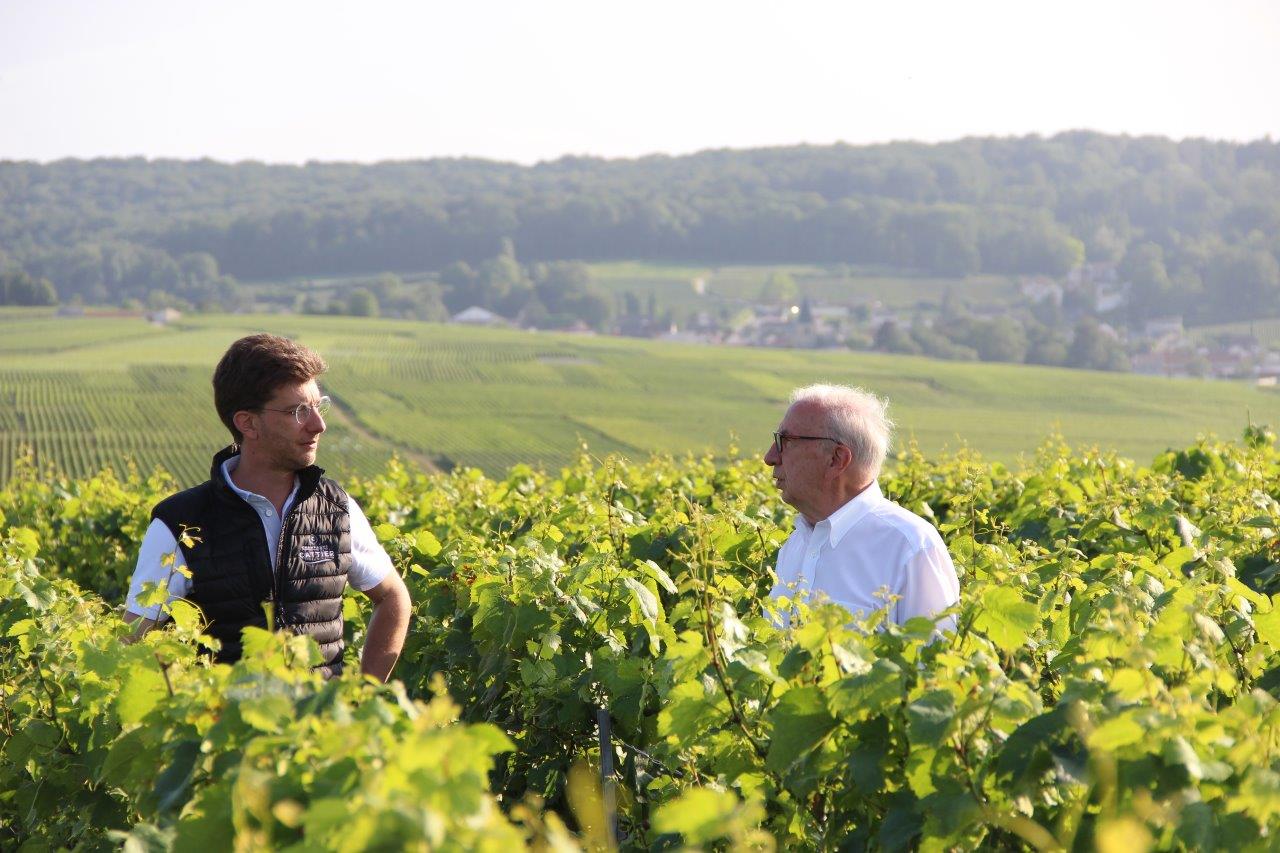 Champagne Lounge - Champagne Cattier - Chigny les Roses - Montagne de Reims